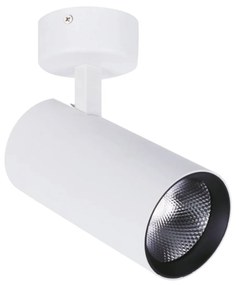 LED stropní bodové světlo Nestor, bílá