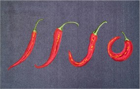 GRUND Rohožka do domácnosti HOT CHILI šedá Rozměr: 75x120 cm