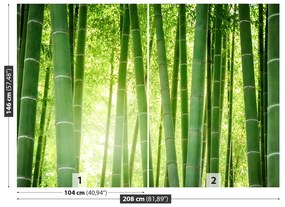 Fototapeta Bambusové lesy 104x70