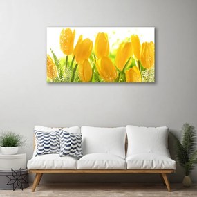 Obraz na plátně Tulipány Květiny Rostlina 120x60 cm