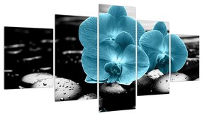 Obraz modrých květů orchideje (150x80 cm)