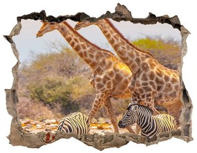 Wallmuralia Díra 3D fototapeta nálepka Žirafy a zebry 95x64 cm