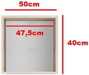 Eka Předsíňová stěna s čalouněnými panely Trinity 22 - Dub Artisan s černou / Černá 2316