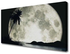 Obraz na plátně Noc Měsíc Palma Krajina 100x50 cm