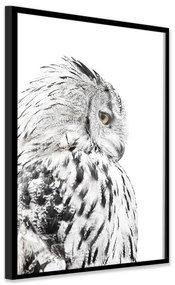 Obraz 50x70 cm Owl – Styler