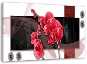 Obraz na plátně Červená orchidej - 60x40 cm
