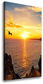 Wallmuralia Vertikální Foto obraz na plátně Západ slunce moře 50x100