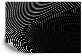 Fototapeta Of The Gray Pattern Of Lines . Eps10. Vliesová tapeta 405x270