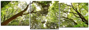 Obraz na plátně - Zelené stromy v lese - panoráma 5194E (150x50 cm)