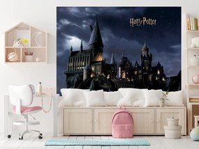 Dětská fototapeta na zed' Harry Potter Výhled na Bradavice | 252 x 182 cm | DFTDXL1965