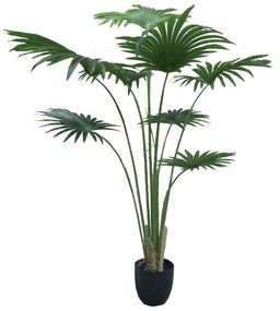 Umělý dekorativní strom - WASHINGTONIA
ROBUSTA GD4304