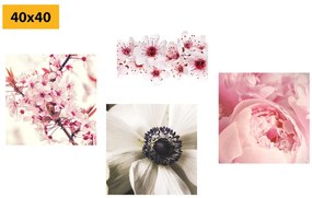 Set obrazů jemnost květin