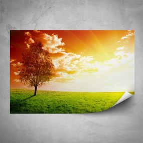 Plakát - Osamělý strom (60x40 cm) - PopyDesign