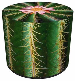 Kulatý taburet - Kaktus