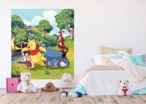 Dětská vliesová fototapeta na zed' Medvídek Pú, Disney | 180 x 202 cm | DFTDNXL 5135