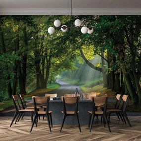 Malvis ® Tapeta Lesní cesta Vel. (šířka x výška): 288 x 200 cm