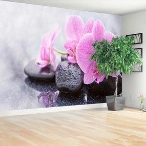 Fototapeta Orchidejové kameny 104x70