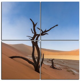 Obraz na plátně - Mrtvý strom v dunách - čtverec 3130E (60x60 cm)