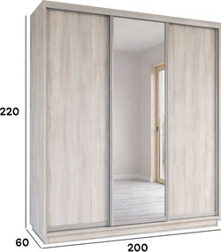 Skříň s posuvnými dveřmi 2000x2200x600 2LTD 1 Zrcadlo Artwood světlý, profil stříbrný