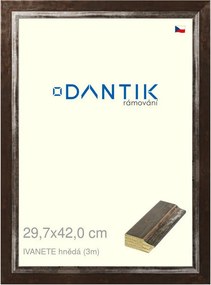DANTIK rámeček 29,7x42 | IVANETE hnědá (Plexi Čiré)