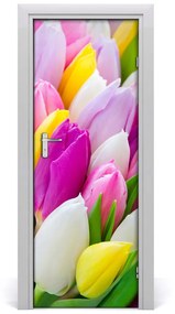 Samolepící fototapeta na dveře barevné tulipány 75x205 cm