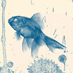 Malvis Tapeta modré rybky Vel. (šířka x výška): 144 x 105 cm