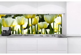 DIMEX | Fototapeta do kuchyně Bílé tulipány KI-180-009 | 180 x 60 cm | zelená, bílá, žlutá