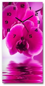 Wallmuralia Nástěnné hodiny tiché Růžová orchidej 30x60 cm