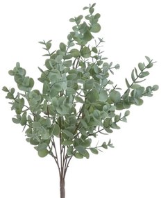 eukalyptus trs x7 - zelená