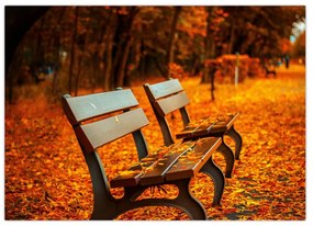 Obraz lavičky v podzimu (70x50 cm)