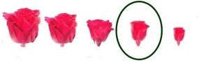 Hlavy růží - mini 12 ks Red - červená