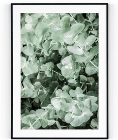 Plakát / Obraz Eucalyptus S okrajem Samolepící plátno A4 - 21 x 29,7 cm