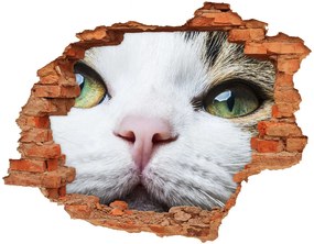 Wallmuralia Díra 3D fototapeta nálepka Zelená kočičí oči 90x70 cm