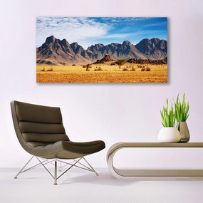 akrylový obraz Poušť Hory Krajina 120x60 cm