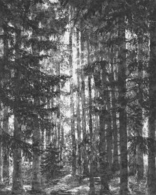 Komar Vliesová fototapeta Lustres Lapland 200 x 250 cm