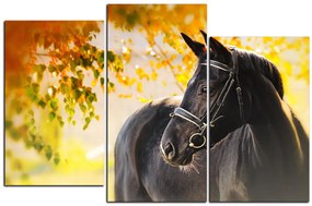Obraz na plátně - Černý kůň 1220C (135x90 cm)