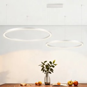 Brilagi - LED Stmívatelný lustr na lanku PORTOFINO LED/98W/230V stříbrná + DO