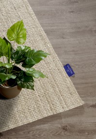 Villeroy & Boch, Běhoun Villeroy & Boch 106066 Beige, 80x200, béžová, chodba / předsíň