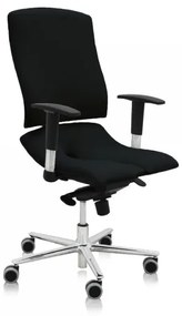 Zdravotní židle Steel Standard+ / černá