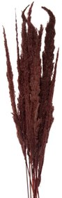 Sušené květy Hnědé 100 cm (10) – 100 cm
