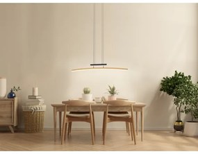 Wofi 7020-106 - LED Stmívatelný lustr na lanku BOLOGNA LED/27W/230V