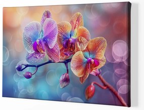 Obraz na plátně - Orchidej, tři bratři FeelHappy.cz Velikost obrazu: 40 x 30 cm
