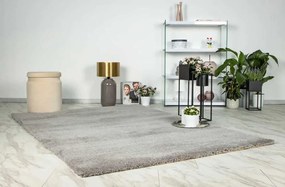 Lalee Kusový koberec Dream 500 Silver Rozměr koberce: 120 x 170 cm