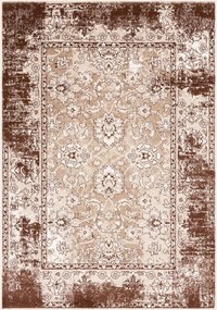 Hnědý koberec 200x280 cm Terno Brown – FD
