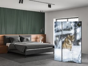 Liox Paraván vlk v zimě Rozměr: 135 x 180 cm