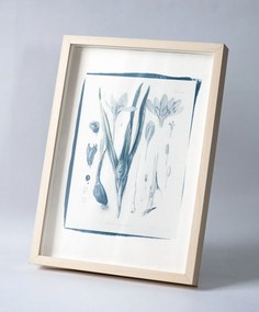 Botanická fotografie na zeď - Ocún podzimní - 21 x 30 cm (A4) / s rámem