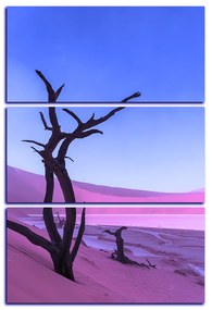 Obraz na plátně - Mrtvý strom v dunách - obdélník 7130FB (105x70 cm)