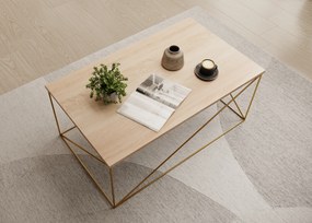 ADRK Furniture Konferenční stolek Dante CT-DAN-G-S