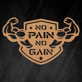 DUBLEZ | Motivační obraz - No Pain No Gain