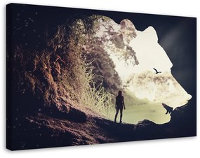 Gario Obraz na plátně Medvědí jeskyně - Patryk Andrzejewski Rozměry: 60 x 40 cm